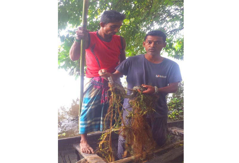 A python was caught in a fisherman’s net