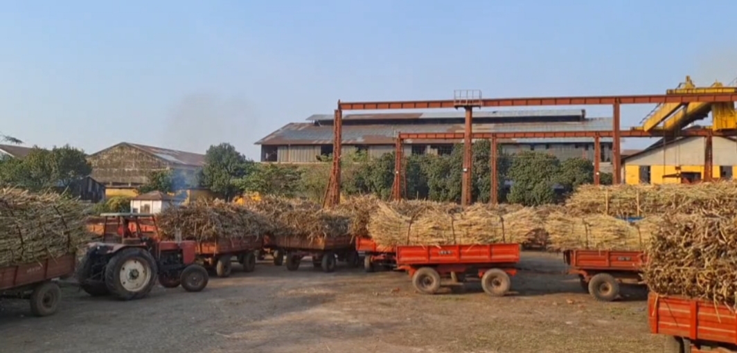 Joypurhat Sugar Mill begins Sugarcane threshing