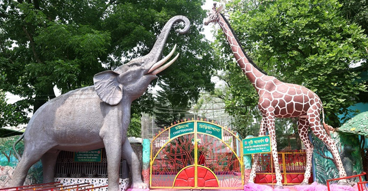 Five workers injured in Chittagong Zoo after a scaffolding collapsed ...